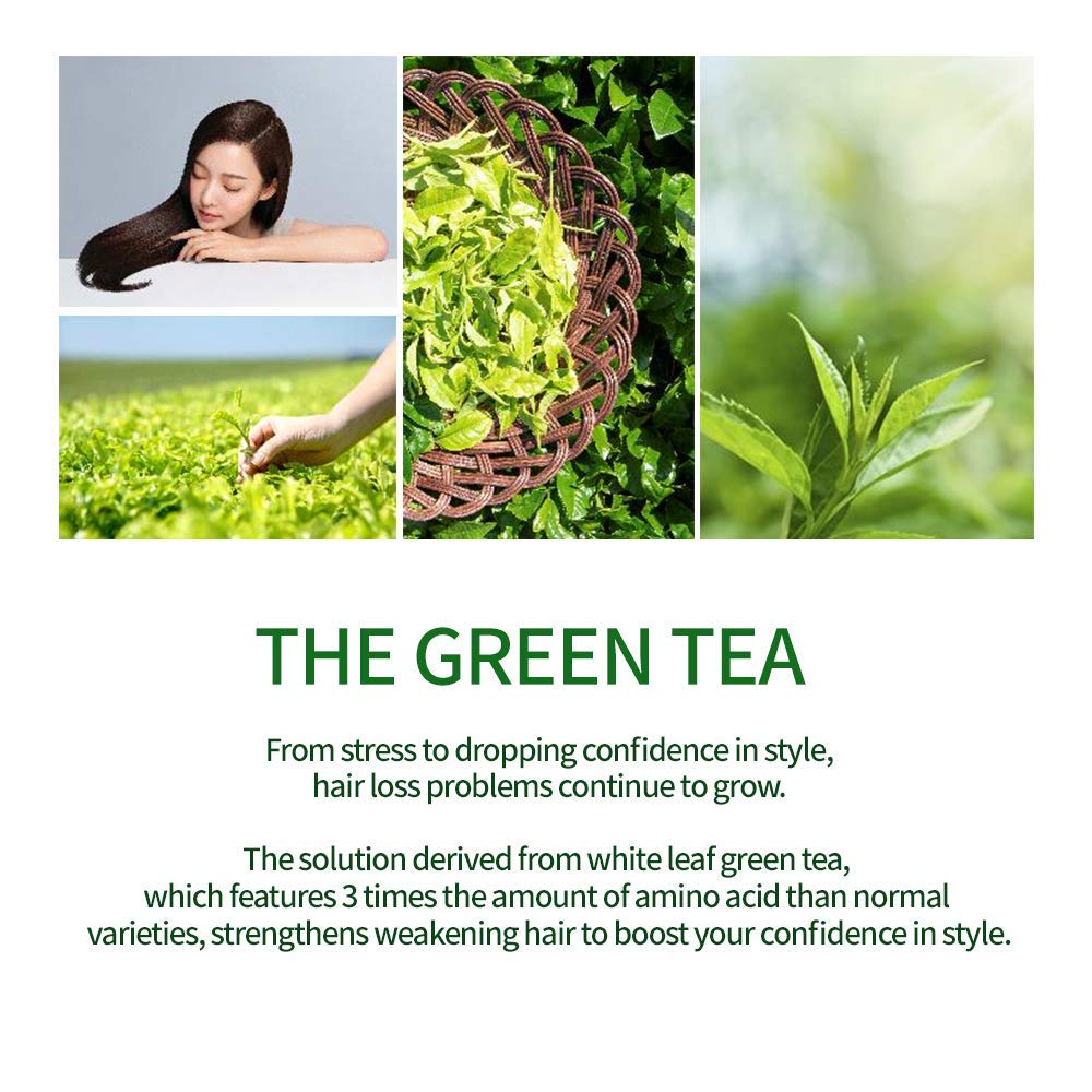 AMOS - The Green Tea Shampoo - Moist - 500g | Beauty Amora | Korean ...