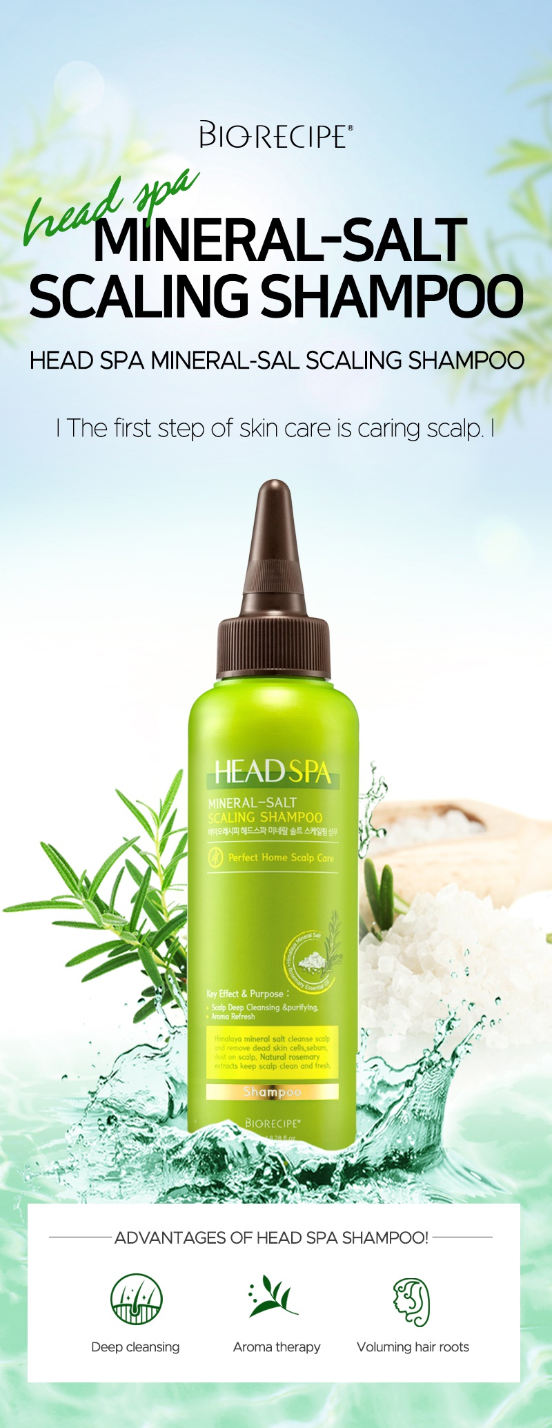 BIORECIPE - Head Spa Mineral-Salt Scaling Shampoo | Beauty Amora ...