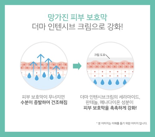 Dr Agera - Derma Intensive Cream | Beauty Amora | Korean Beauty Store ...